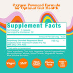 daily digestive enzyme support