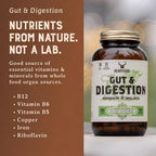 daily digestive health supplement