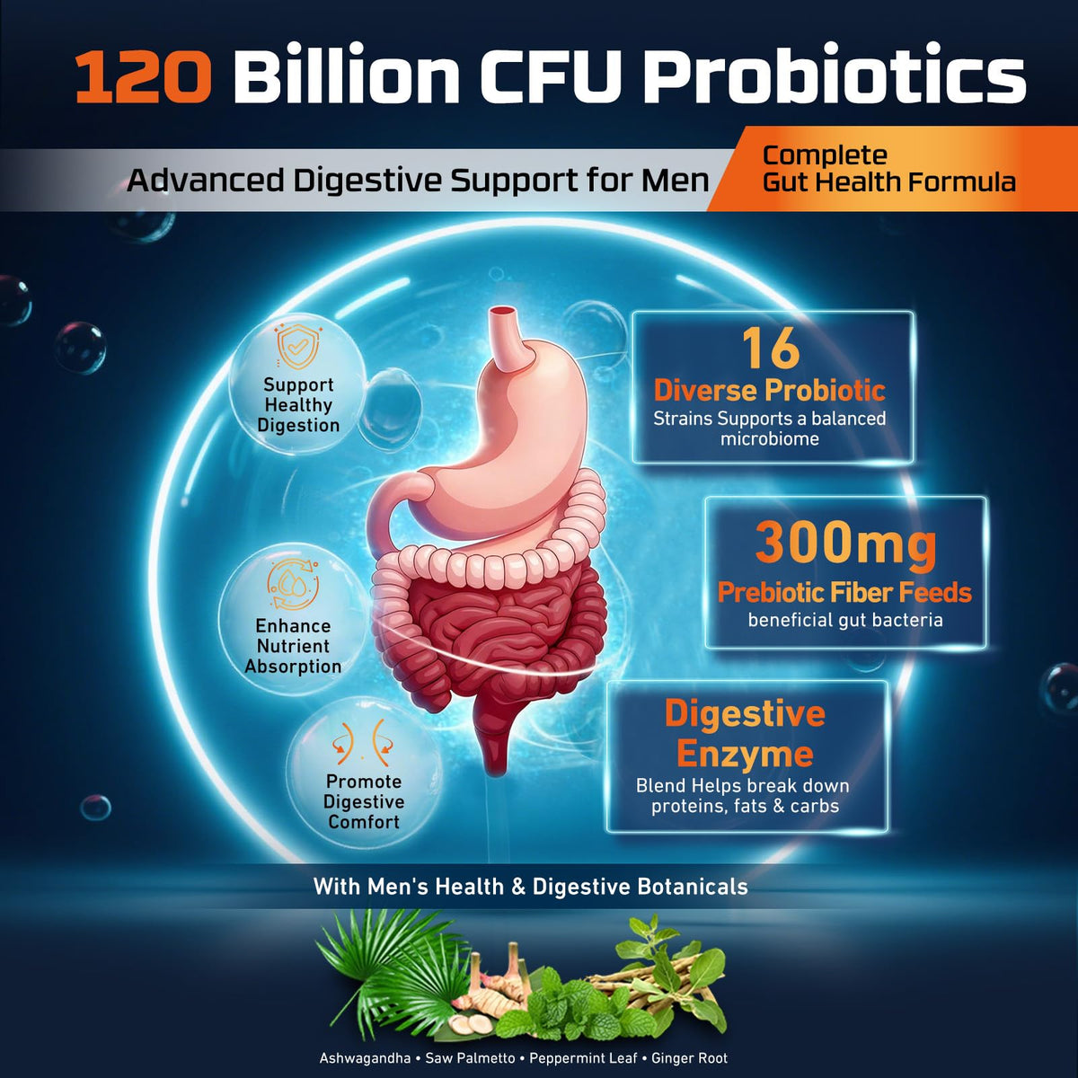 daily digestive support for men