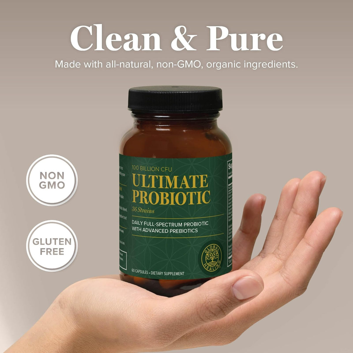 daily digestive support probiotics