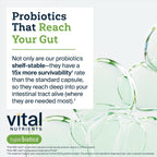 daily digestive support probiotics