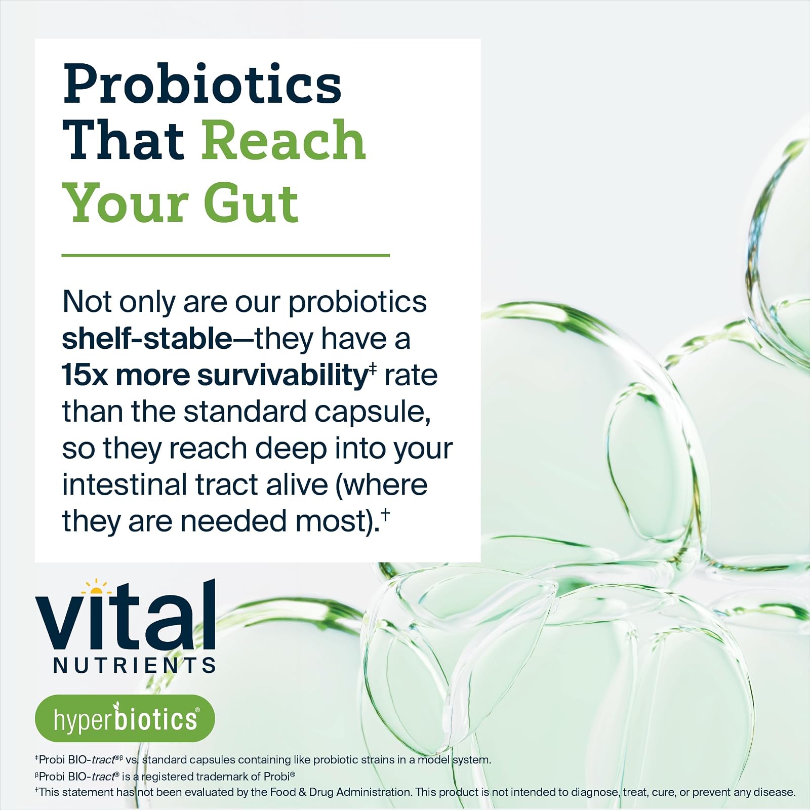 daily digestive support probiotics