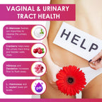 daily digestive support probiotics
