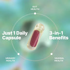 daily digestive support probiotics