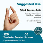 daily digestive support probiotics
