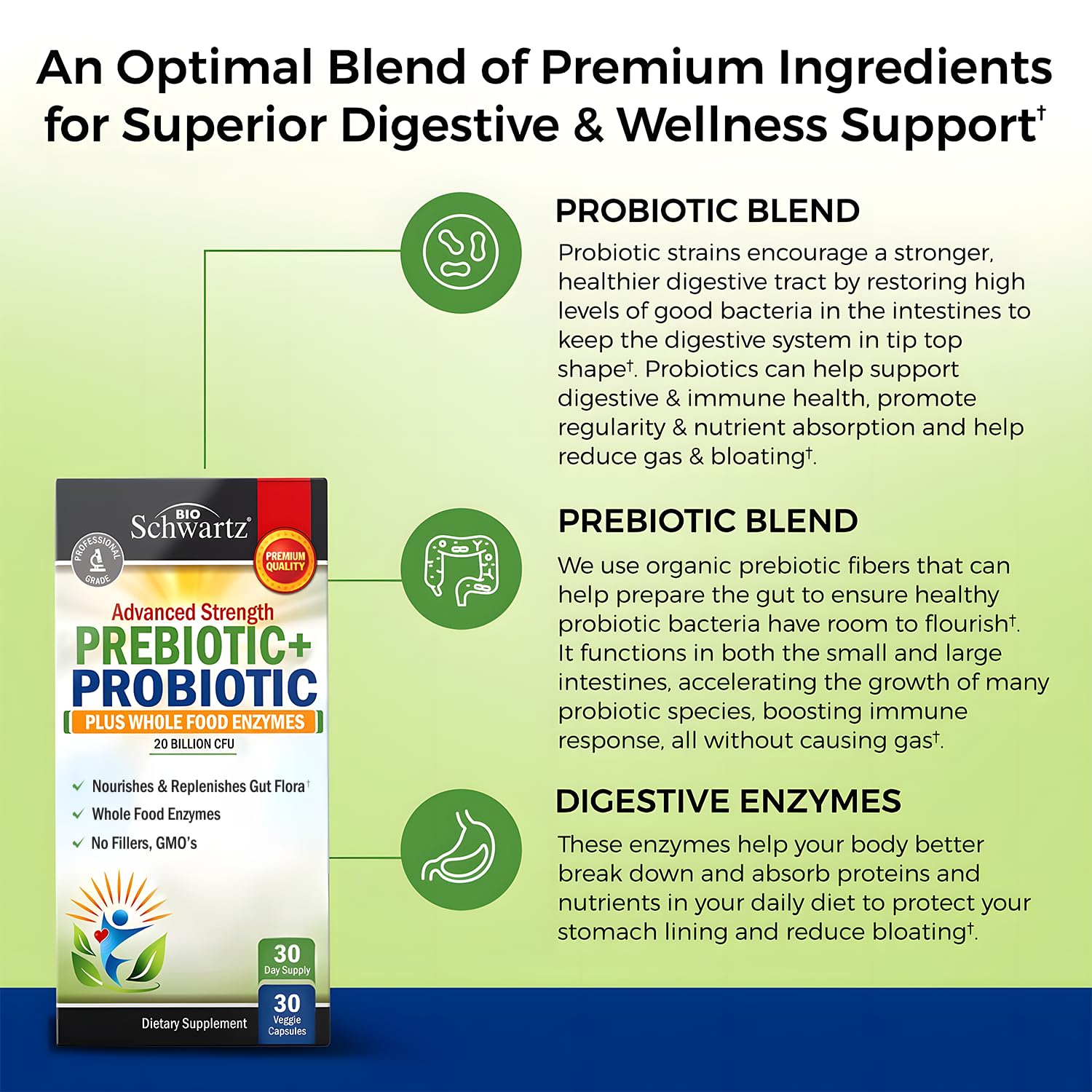 daily digestive support probiotics
