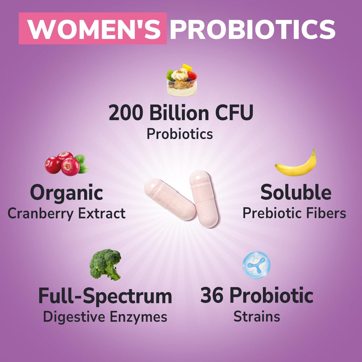 daily digestive support probiotics