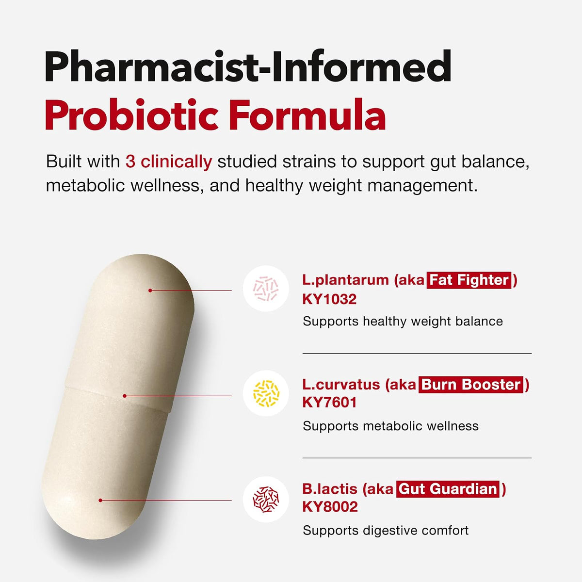 Daily digestive support with FOODOLOGY
