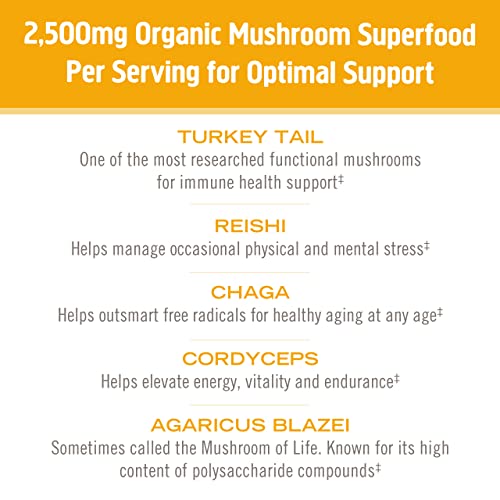 Daily dose of mushroom nutrients