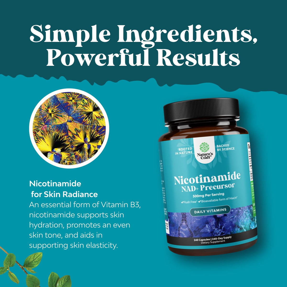 Daily dose of Nicotinamide capsules
