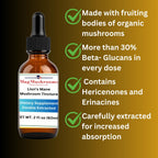 daily doses of lion's mane tincture