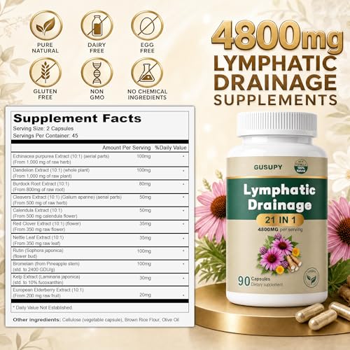 daily echinacea for better health
