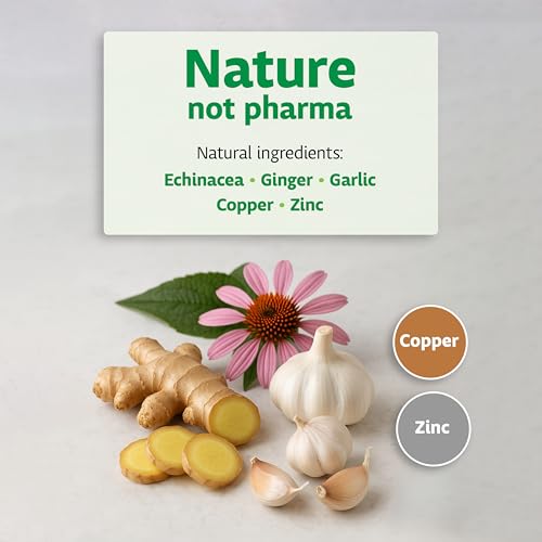 daily echinacea for better immunity