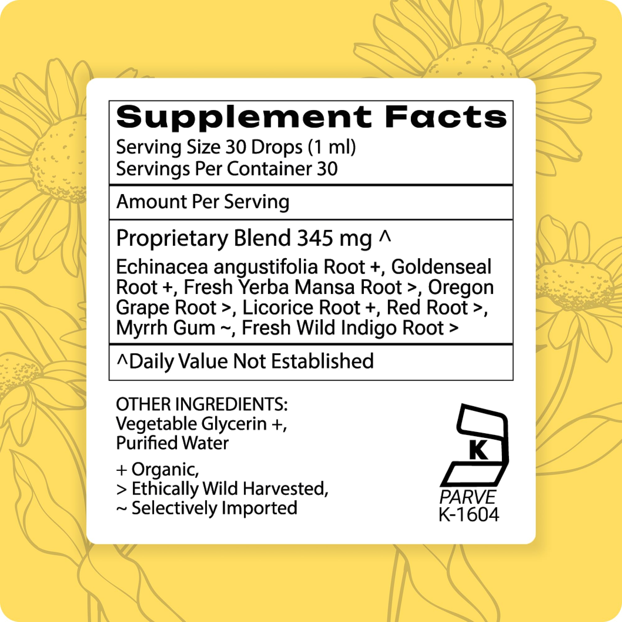 daily echinacea for immune health