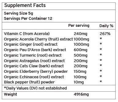 daily echinacea for immune strength