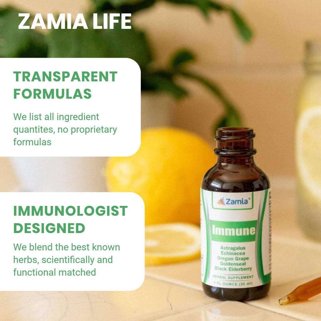daily echinacea for immune strength