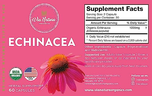 daily echinacea for immune support