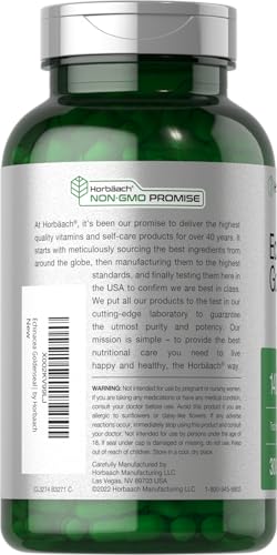 daily echinacea for immune support