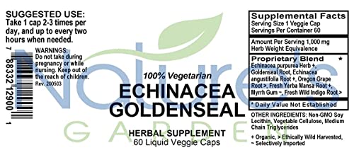 Daily echinacea for natural defense