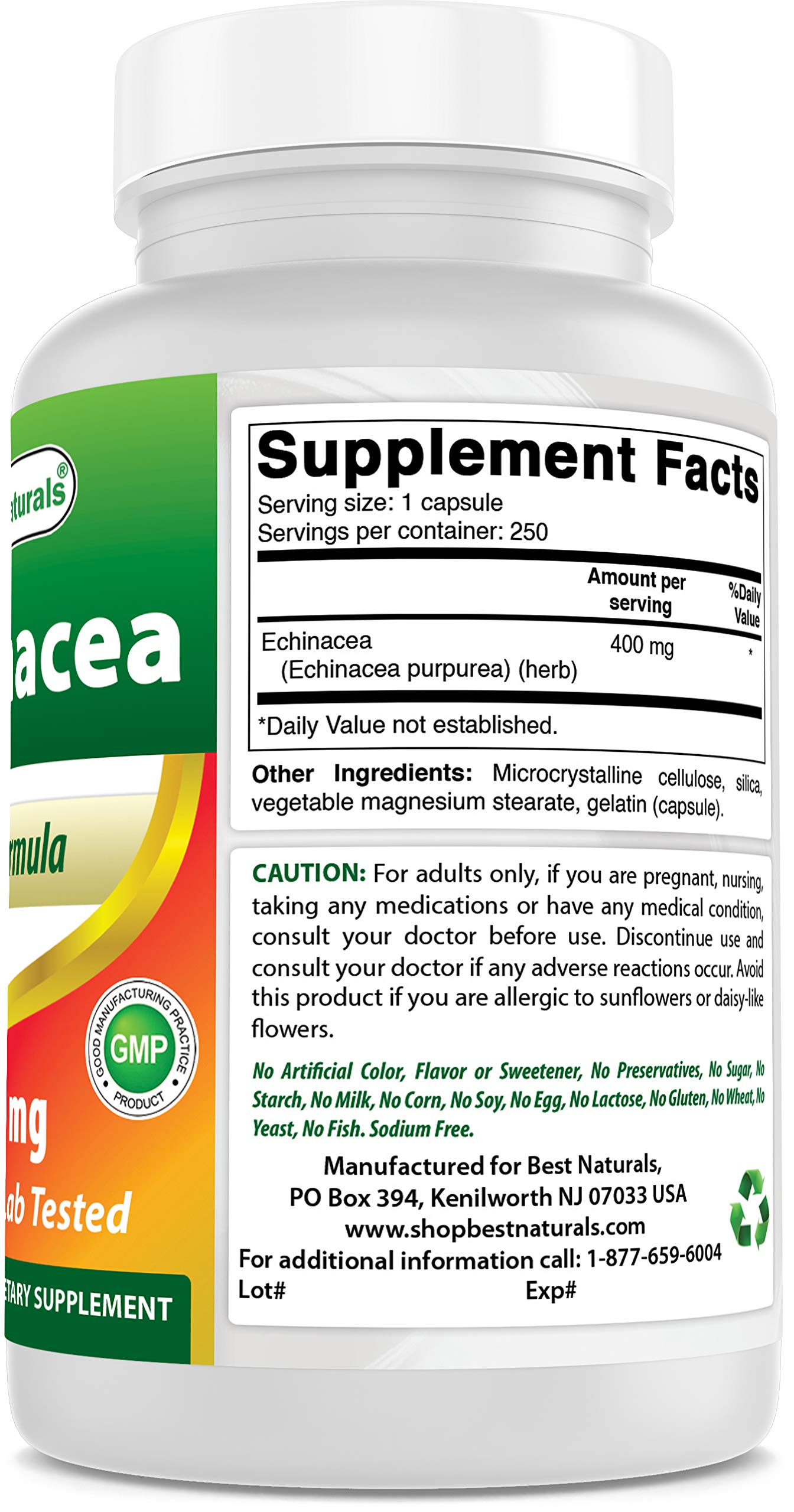 Daily echinacea for overall health