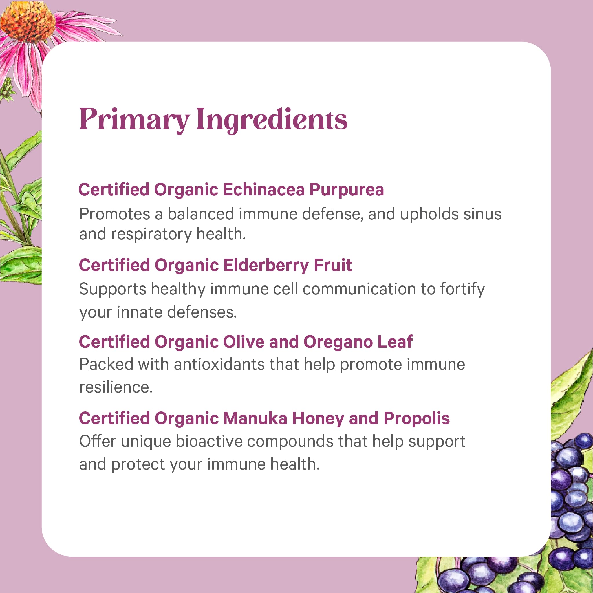 daily echinacea for overall wellness