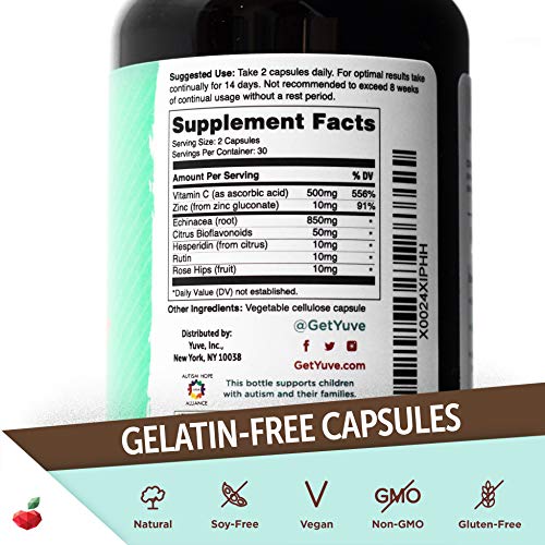 Daily echinacea for wellness and vitality