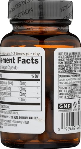 daily echinacea for wellness