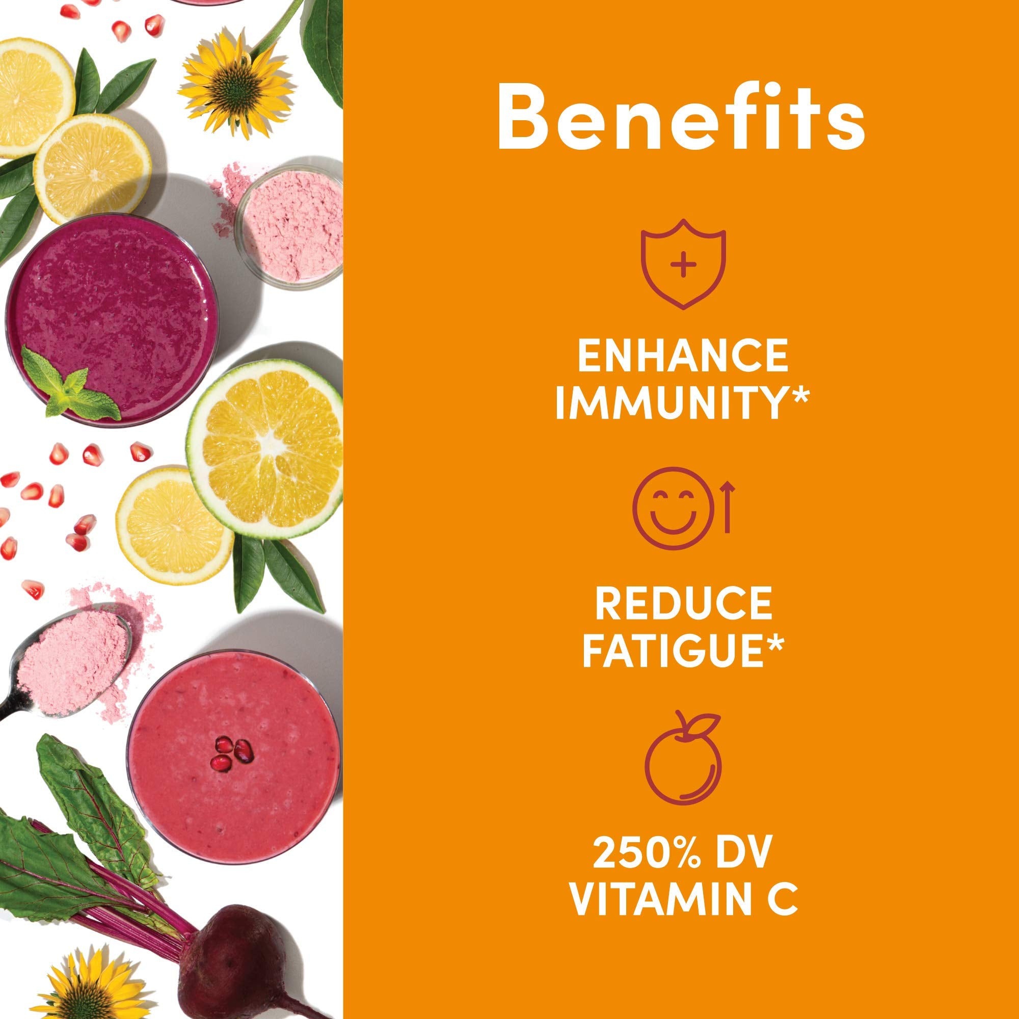 daily echinacea supplement for health