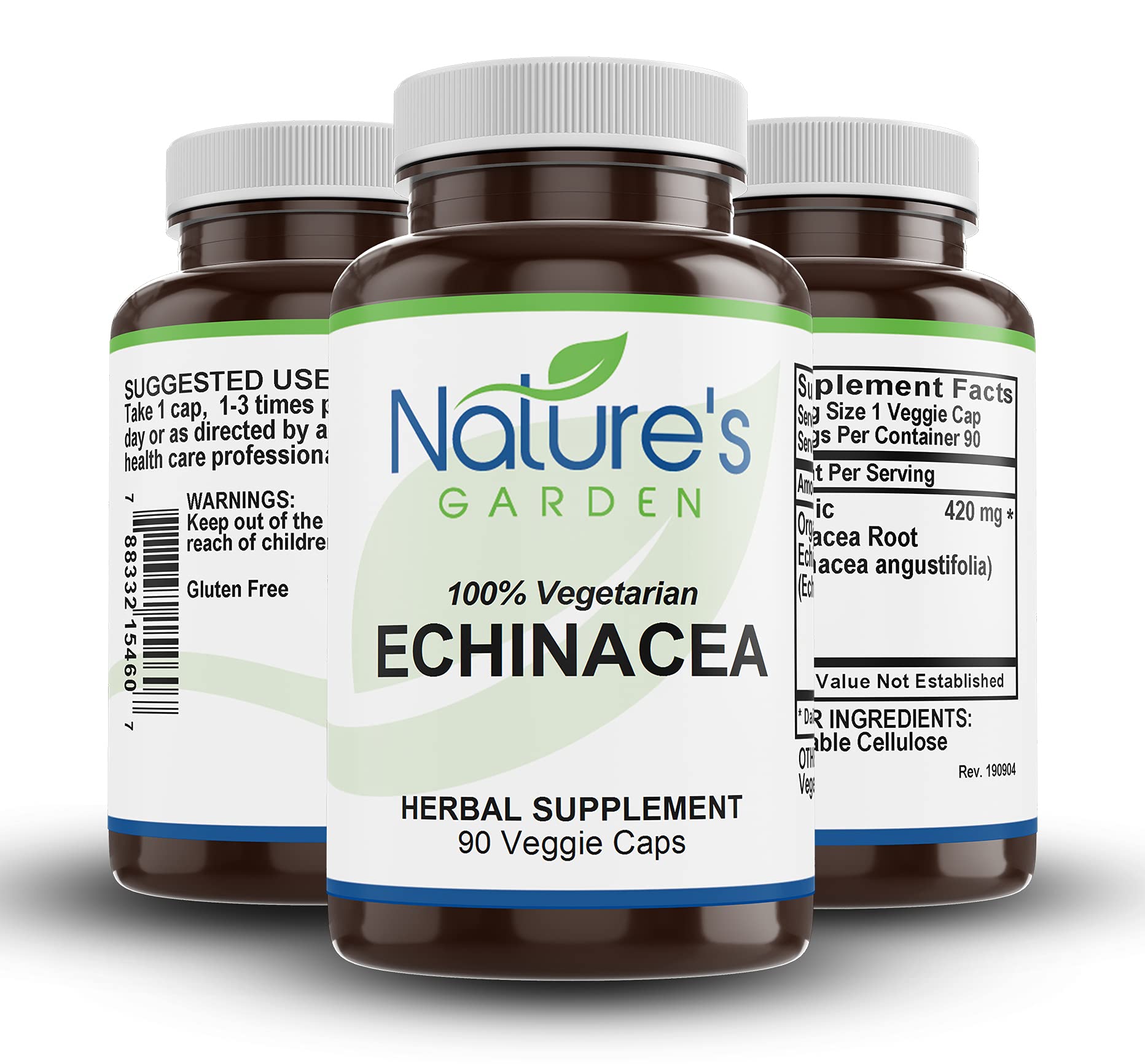 daily echinacea supplement for overall health