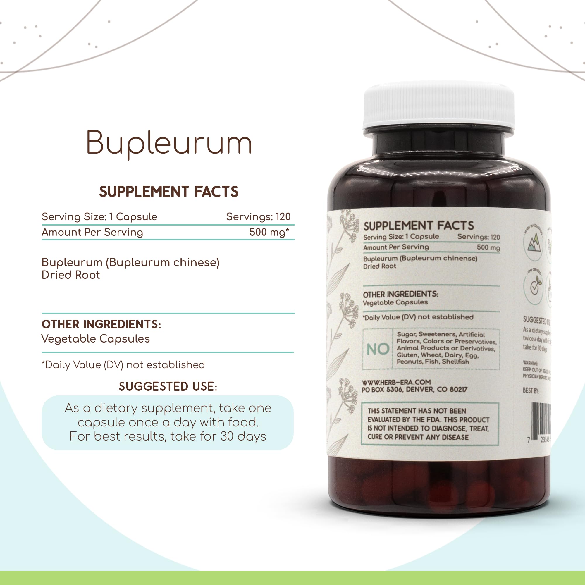 Daily echinacea supplement for vitality