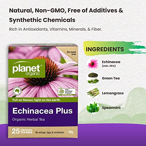 daily echinacea tea for better health