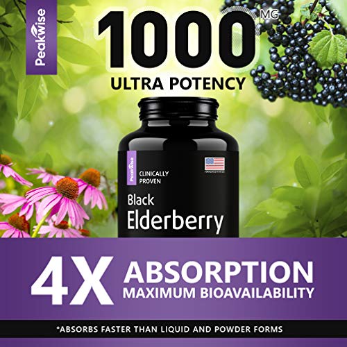 Daily elderberry capsules for wellness
