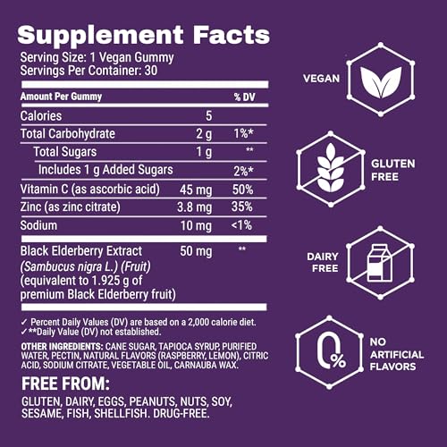 daily elderberry dosage for adults