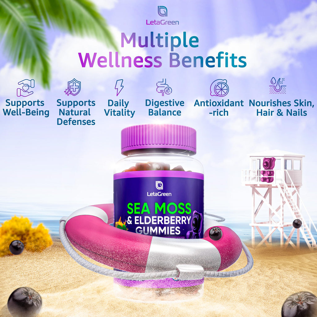 daily elderberry dosage for adults