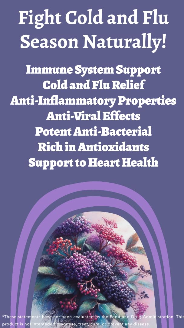 daily elderberry dosage for adults