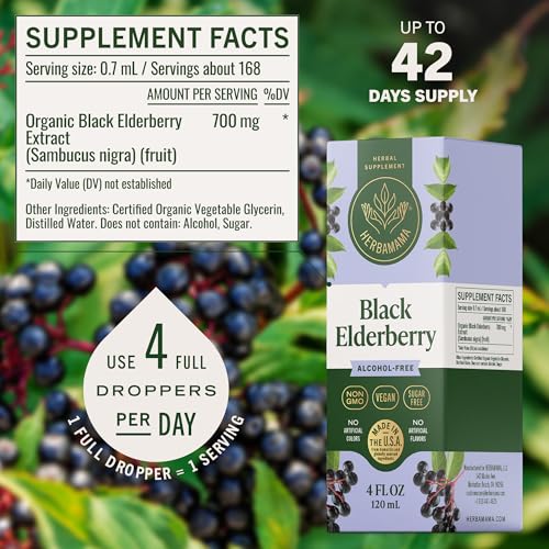 daily elderberry dosage for adults