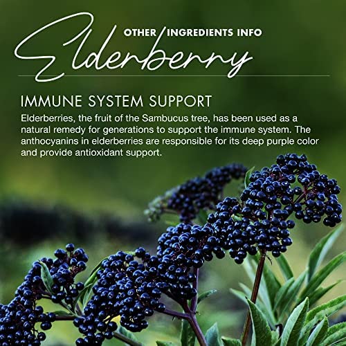 daily elderberry dosage for health