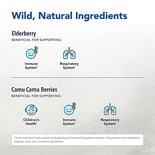 Daily elderberry dosage for health