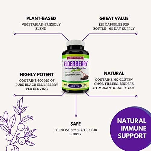 Daily elderberry dosage for health