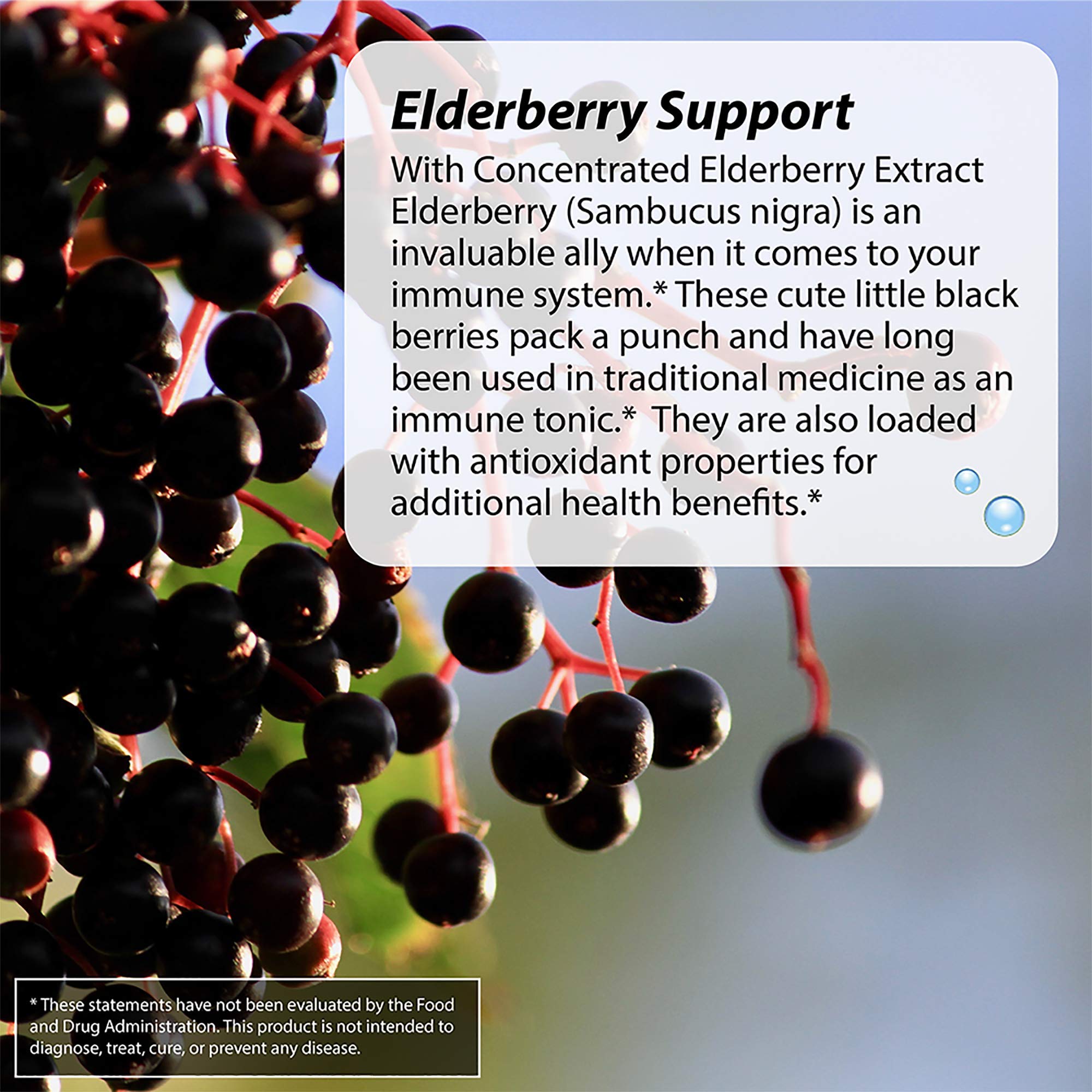 Daily elderberry dosage for immunity