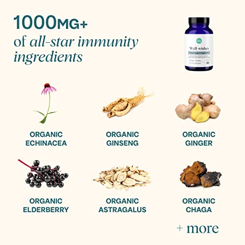 daily elderberry dosage for immunity