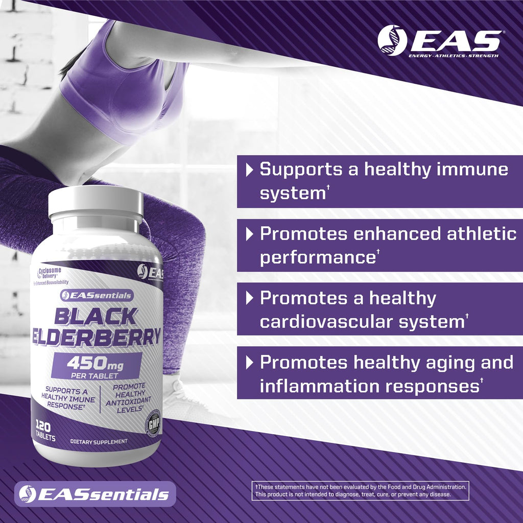 daily elderberry dosage for immunity