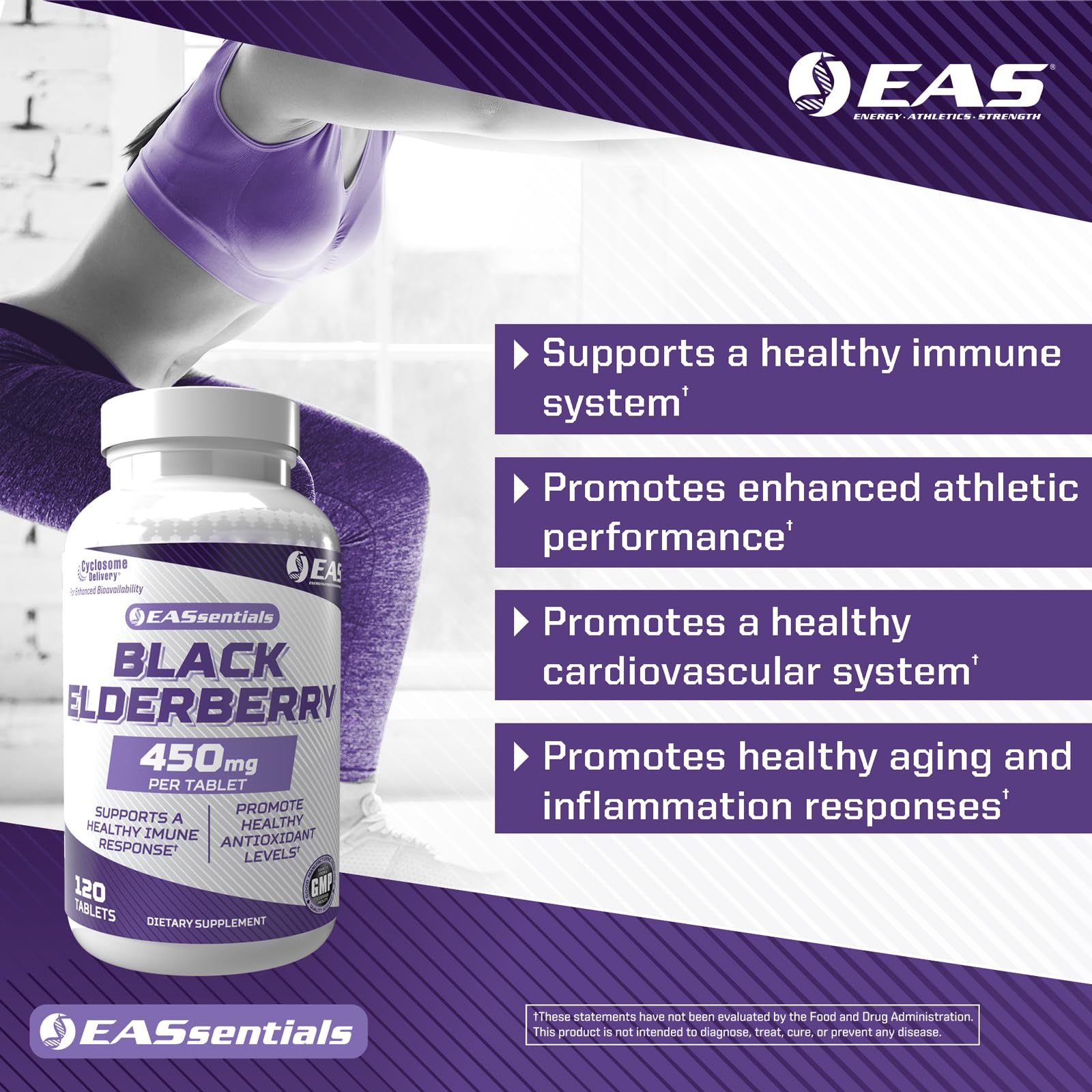 daily elderberry dosage for immunity