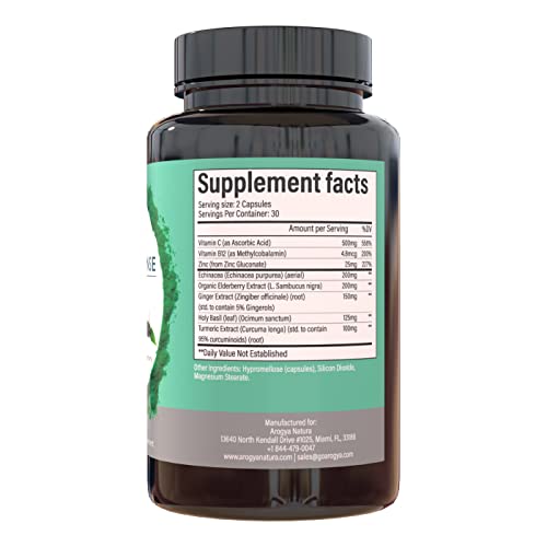 daily elderberry dosage for immunity