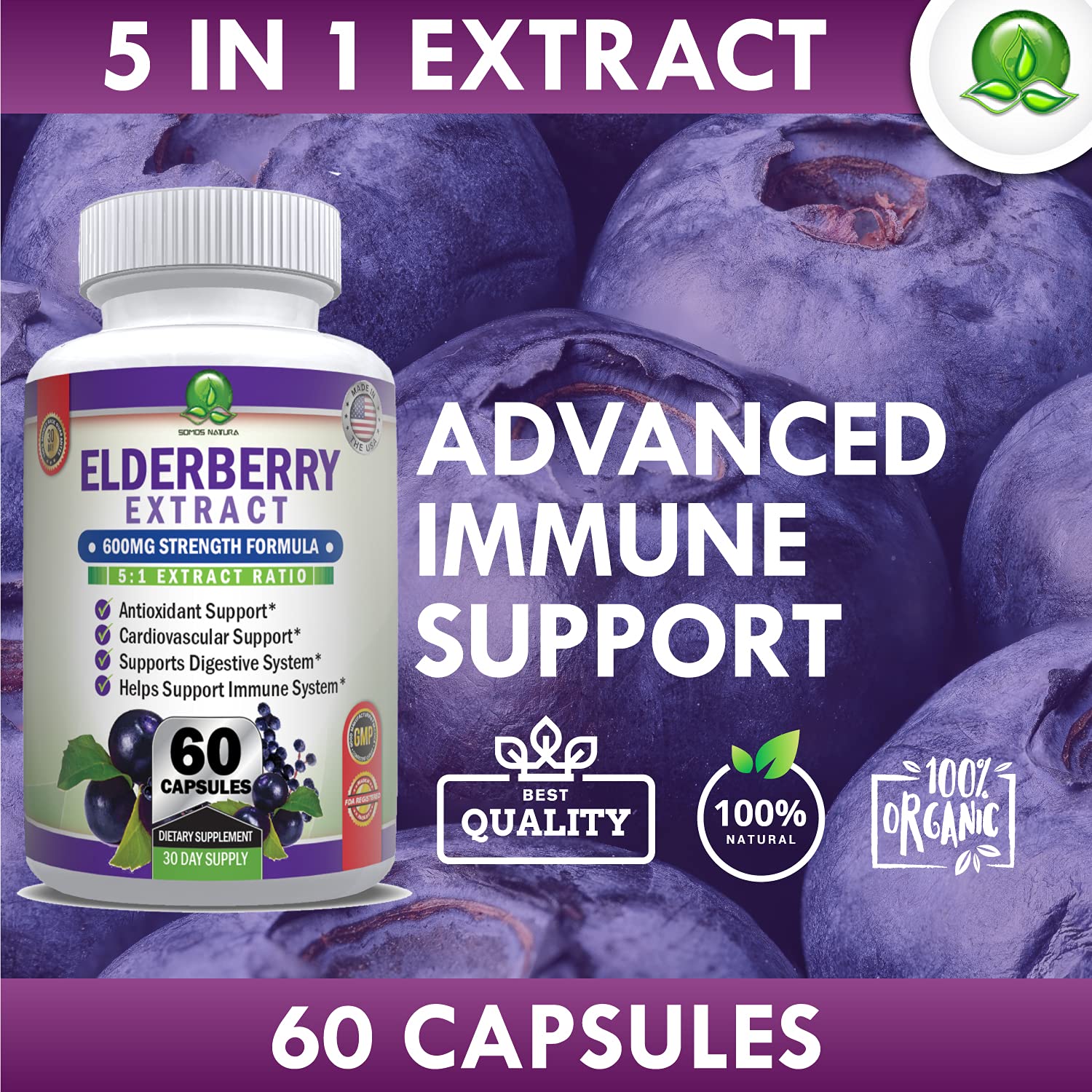 daily elderberry dosage for immunity