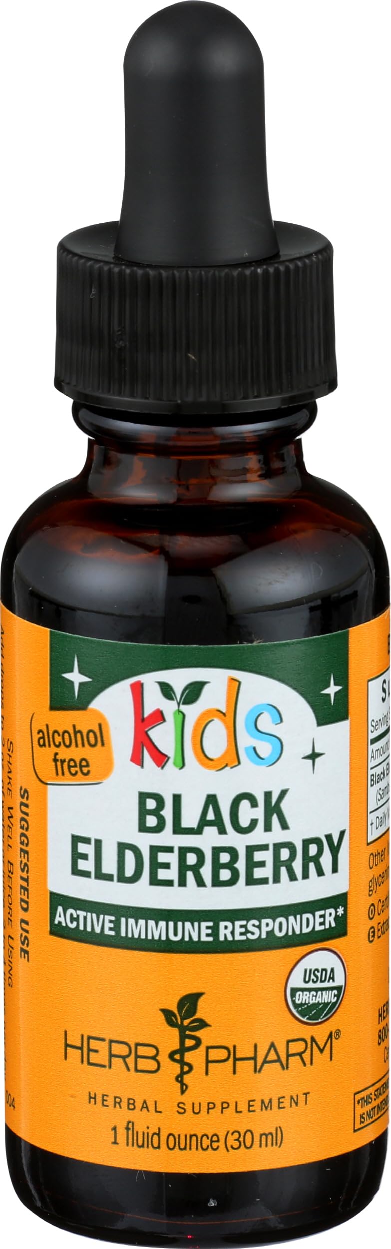 daily elderberry dosage for kids