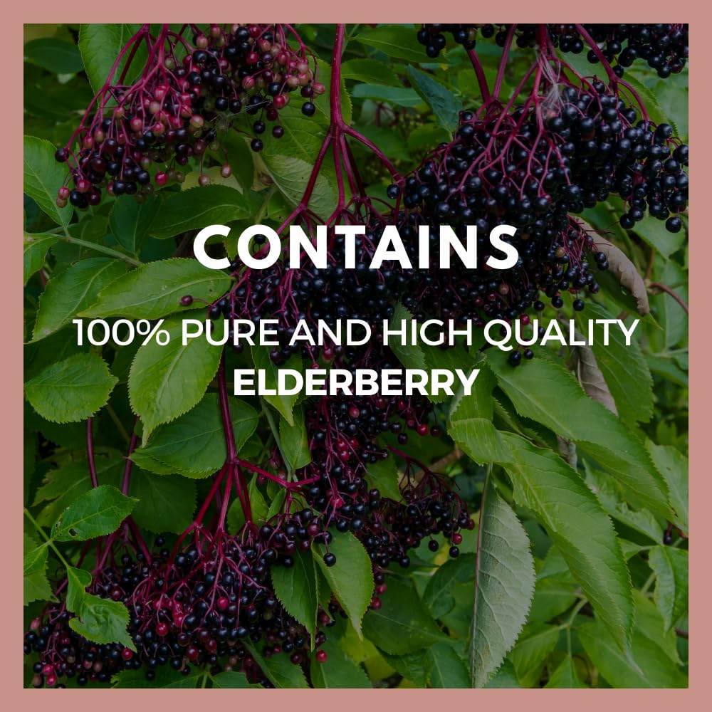 Daily elderberry dosage for vitality