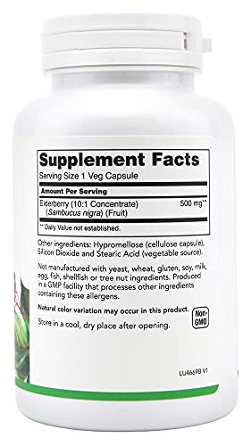 Daily elderberry dosage for vitality