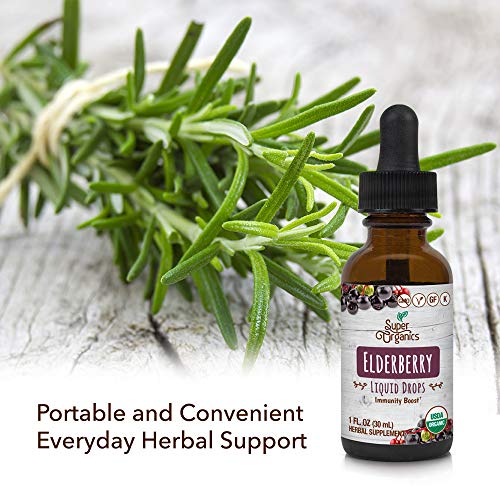 daily elderberry dosage guide
