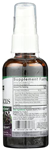 daily elderberry dosage guide